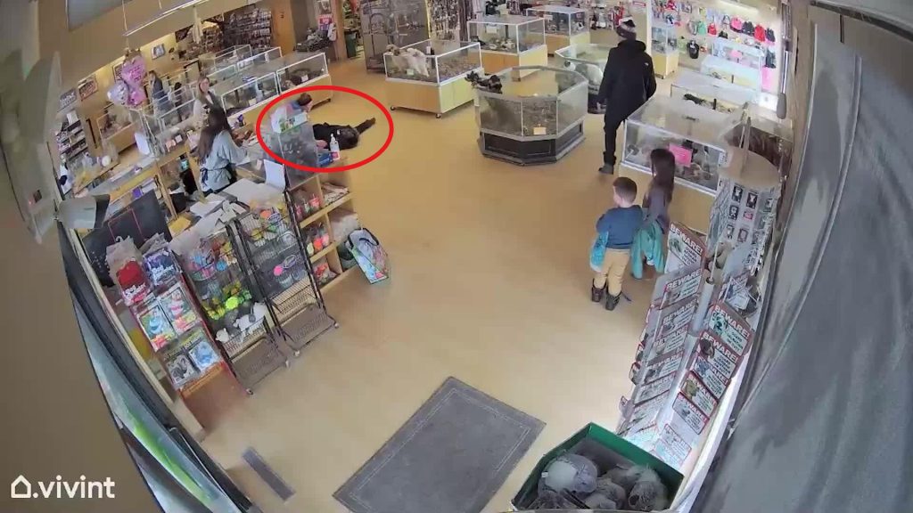 VIDEO. Zaglis notēlo sirdslēkmi, lai bandas biedri varētu nolaupīt ...