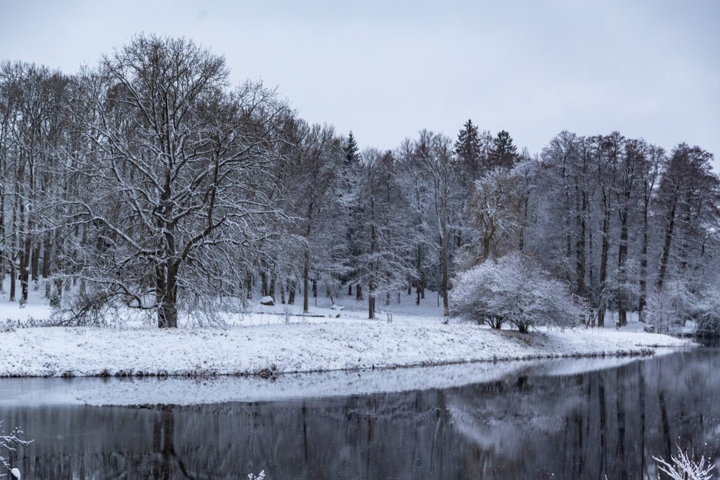 Sniegs, lietus un atkala – ziema vēl nepadodas | LA.LV