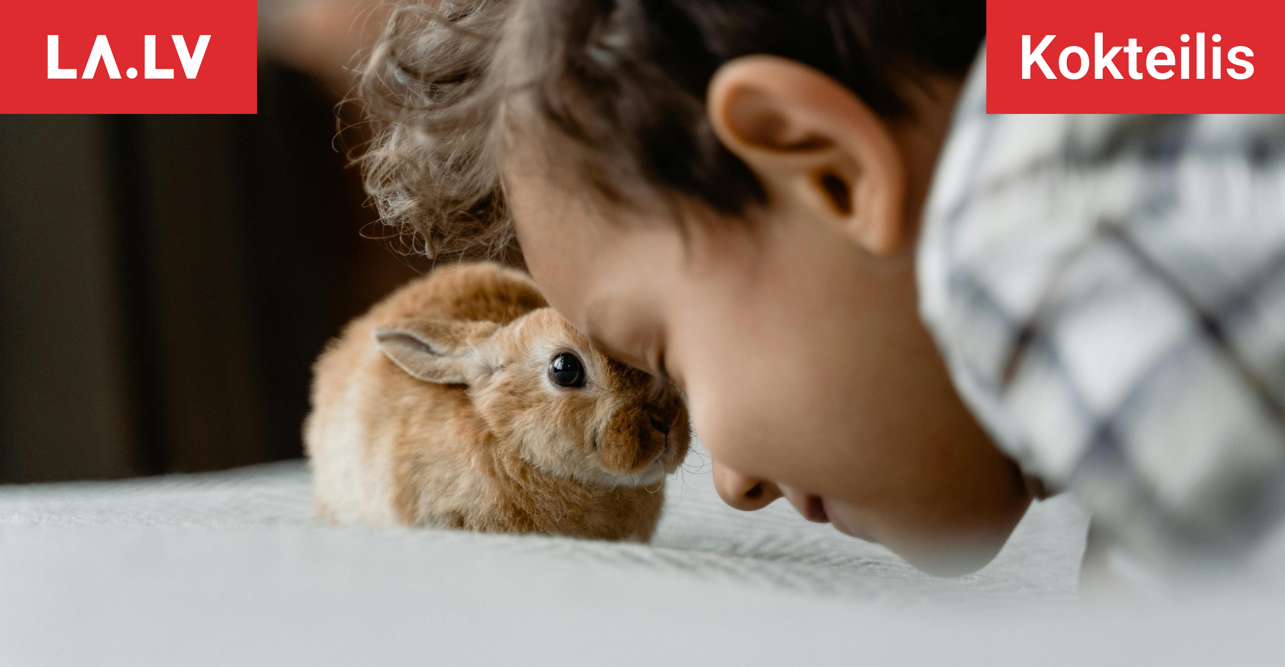 Ir vērts plānot kaut ko nopietnu! Horoskopi 23. aprīlim | Kokteilis.lv