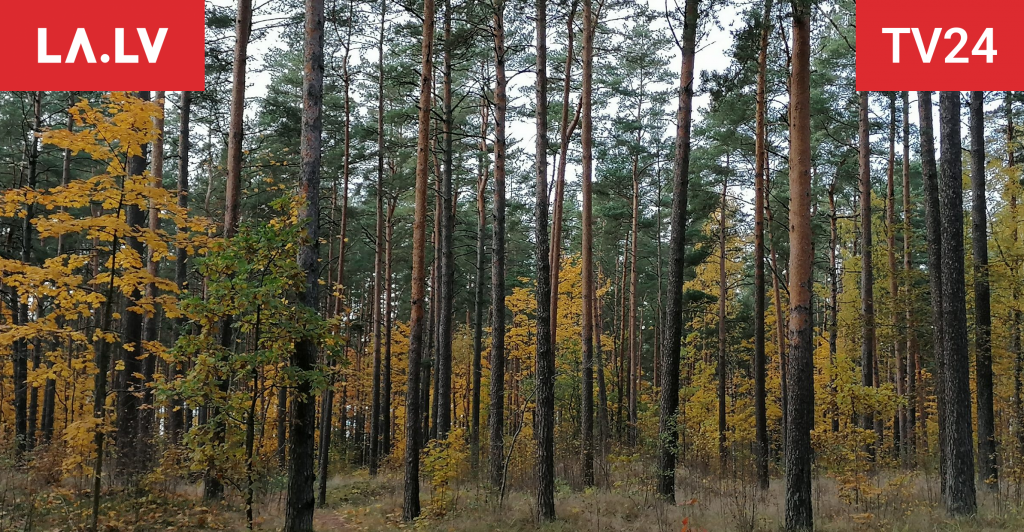 Ceplis: Kompensācija ir tik smieklīga, ka ir slinkums tērēt laiku, lai ...