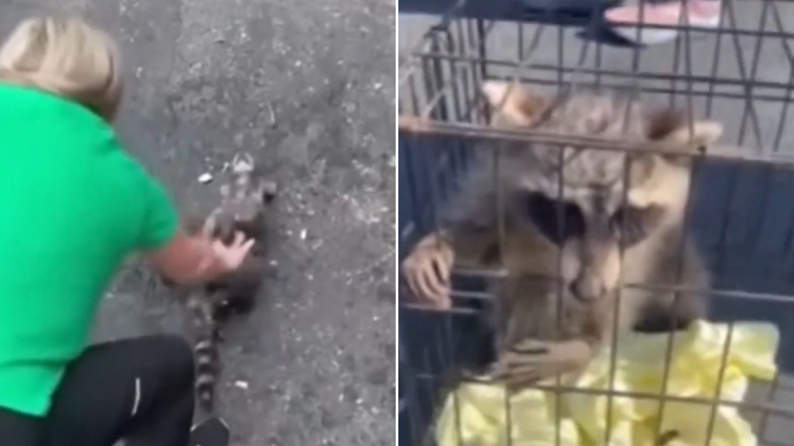 VIDEO. “Man darbā ir bijušas visai trakas dienas, bet nekas šāds vēl ...
