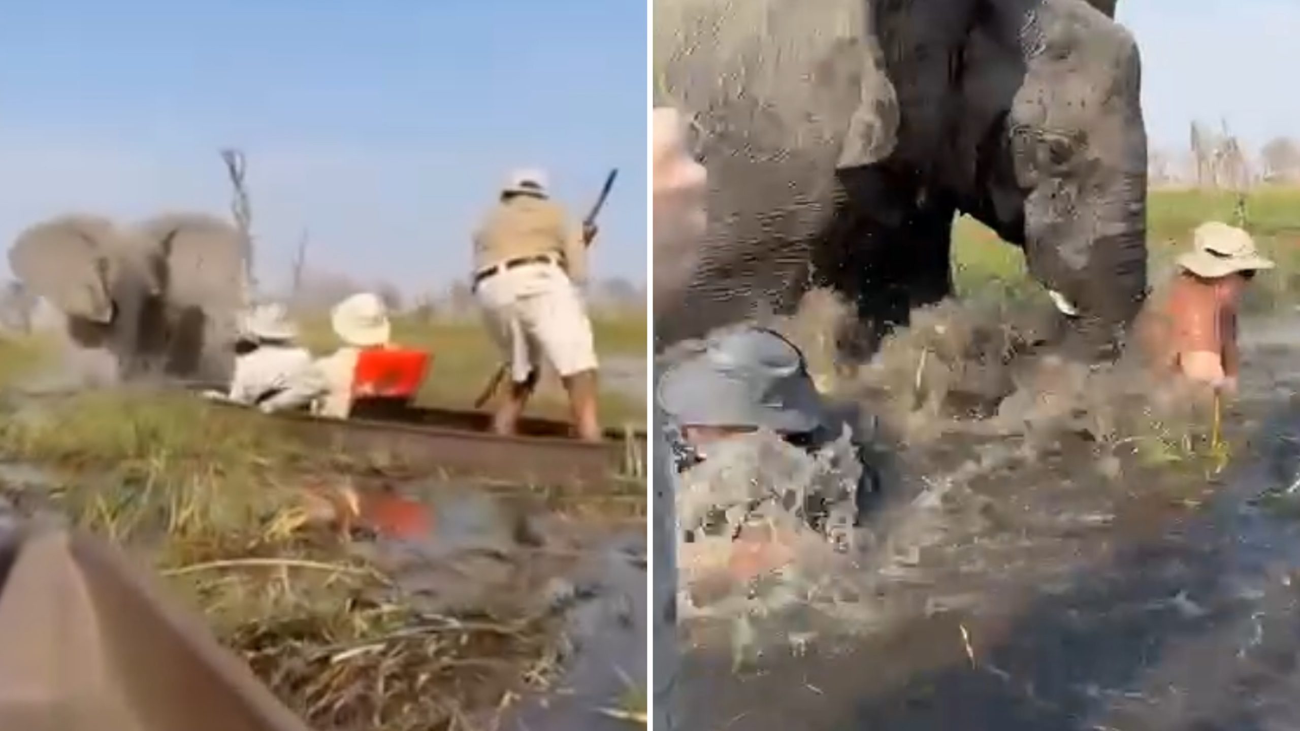 VIDEO. Brīvdienu piedzīvojums pārvēršas šausmās: nikns zilonis apgāž ...