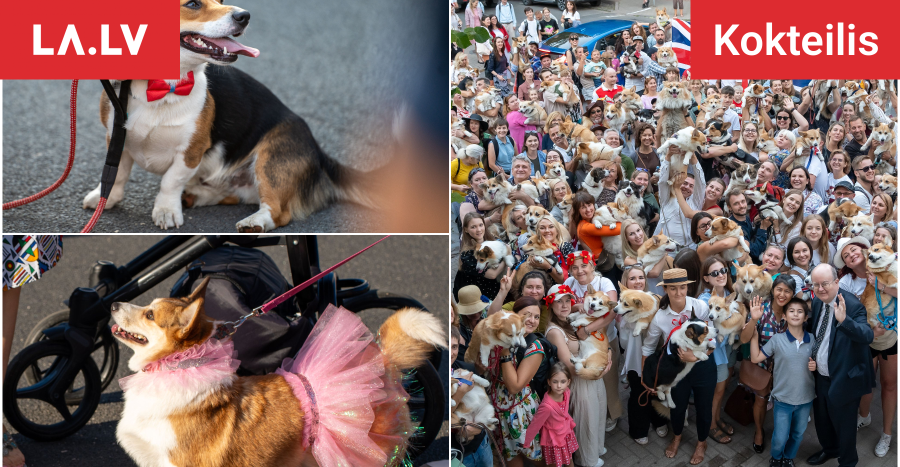 Korgiju fanu tikšanās, pastaigas un īstā britu piknika vieta šogad ir ...