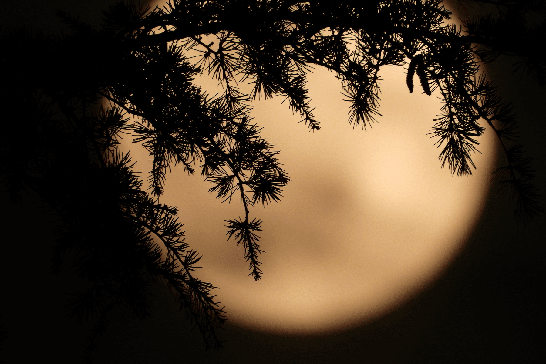 Skaties debesīs – šonakt debesīs būs īpašs notikums! Kam tas nesīs ...