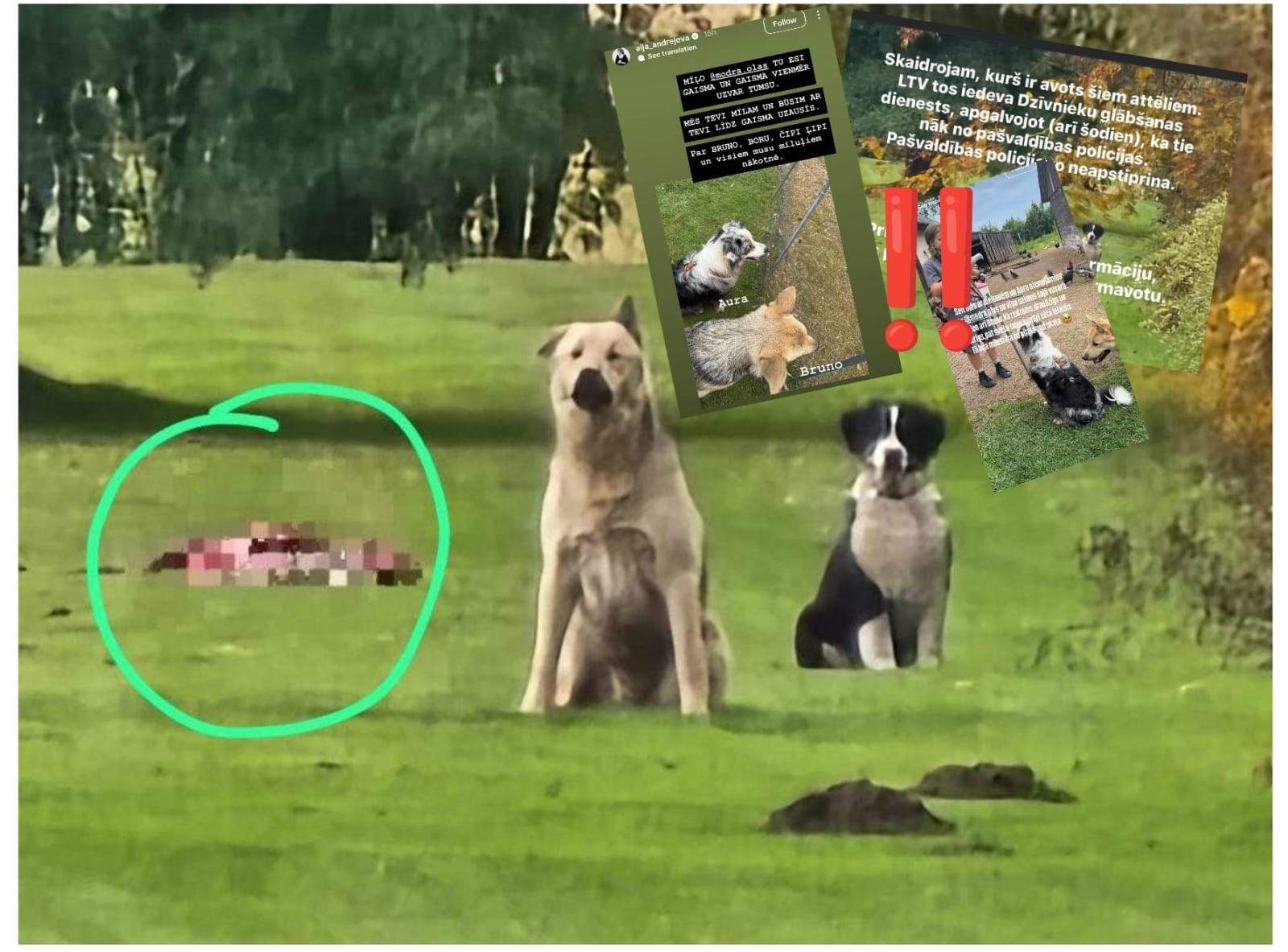 “Gaisma vienmēr uzvar tumsu…” Sabiedrībā zināmi cilvēki reaģē uz Modra ...