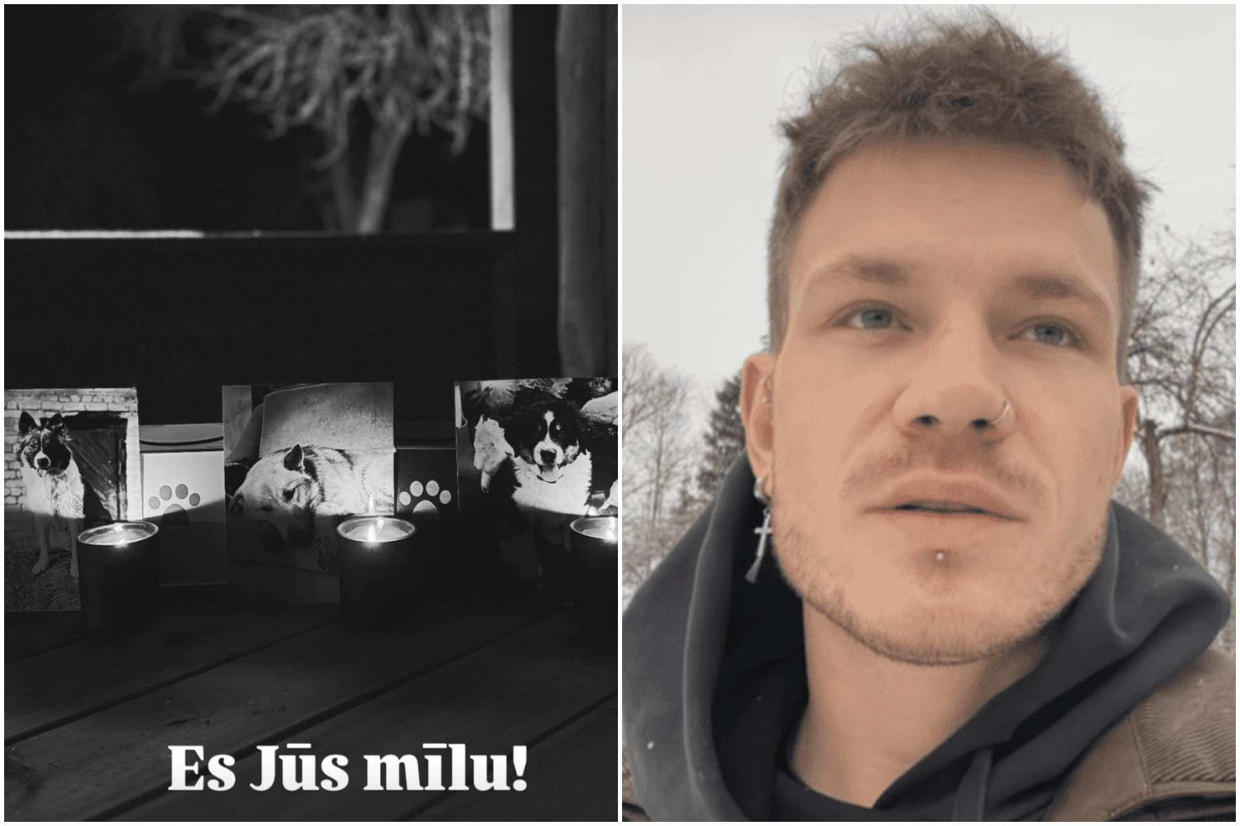 “Mēs sēžam terasē…Es lūdzu viņiem piedošanu!” Modra suņi ir ...