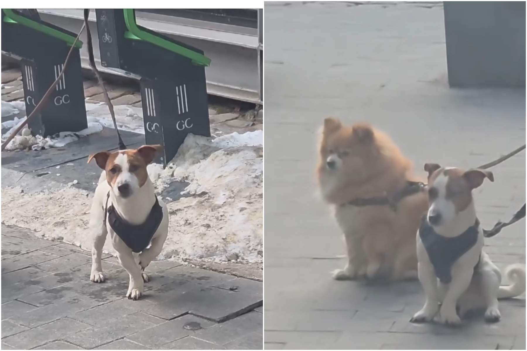 “Pat mute un acis bija aizsalušas.” Kas notiek cilvēku prātos, atstājot ...