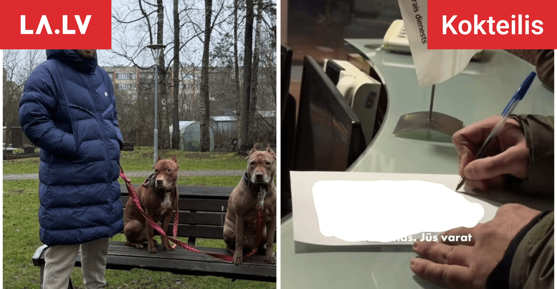 “Es te sēdēšu tikmēr, kamēr jūs viņus pārbaudīsiet!” Zutis ar suņiem ...